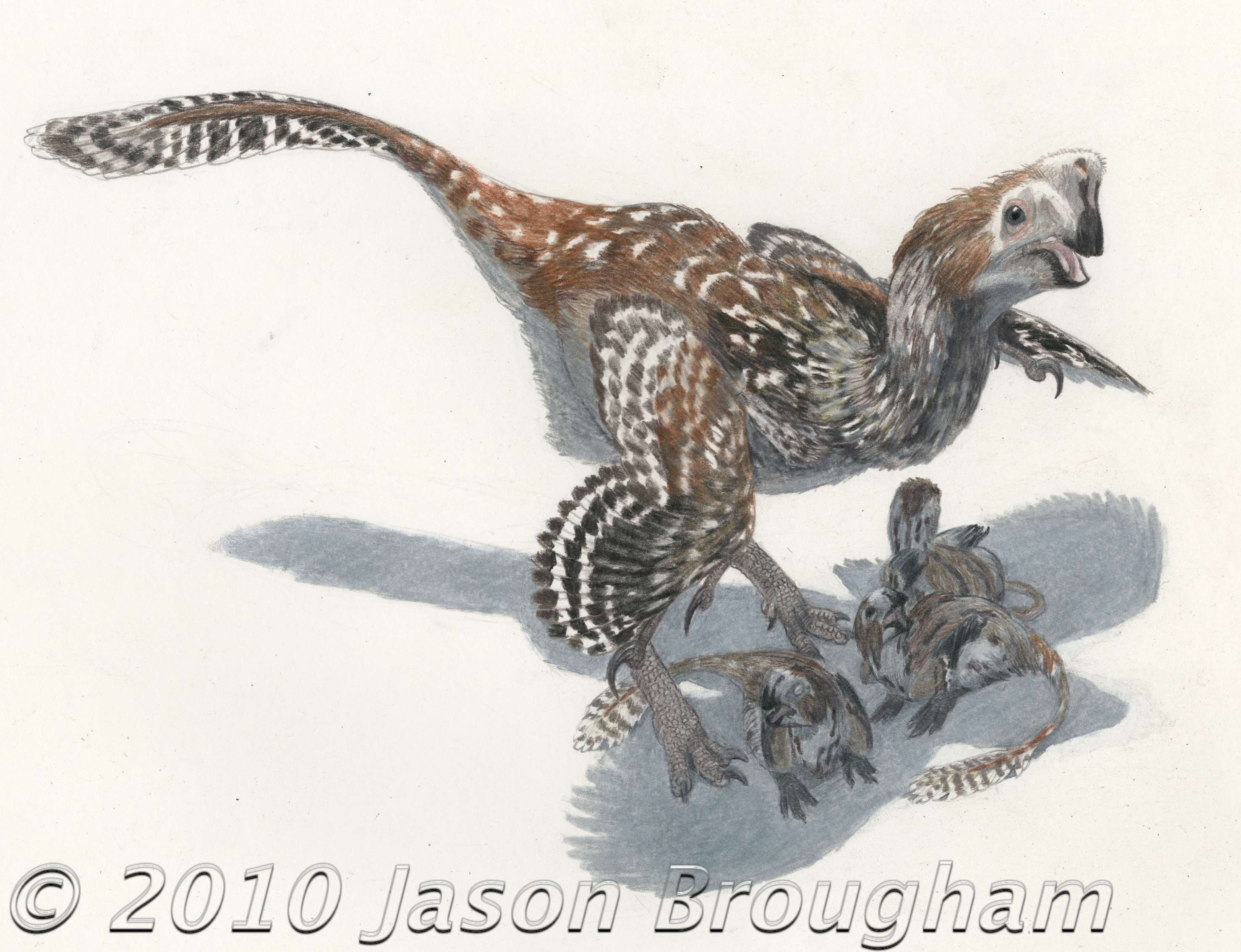 Behavioral Reconstructions | softdinosaurs