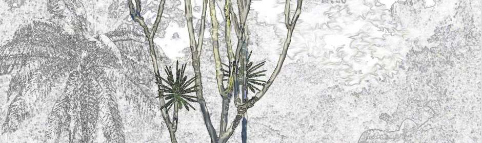 Paleobotany | softdinosaurs