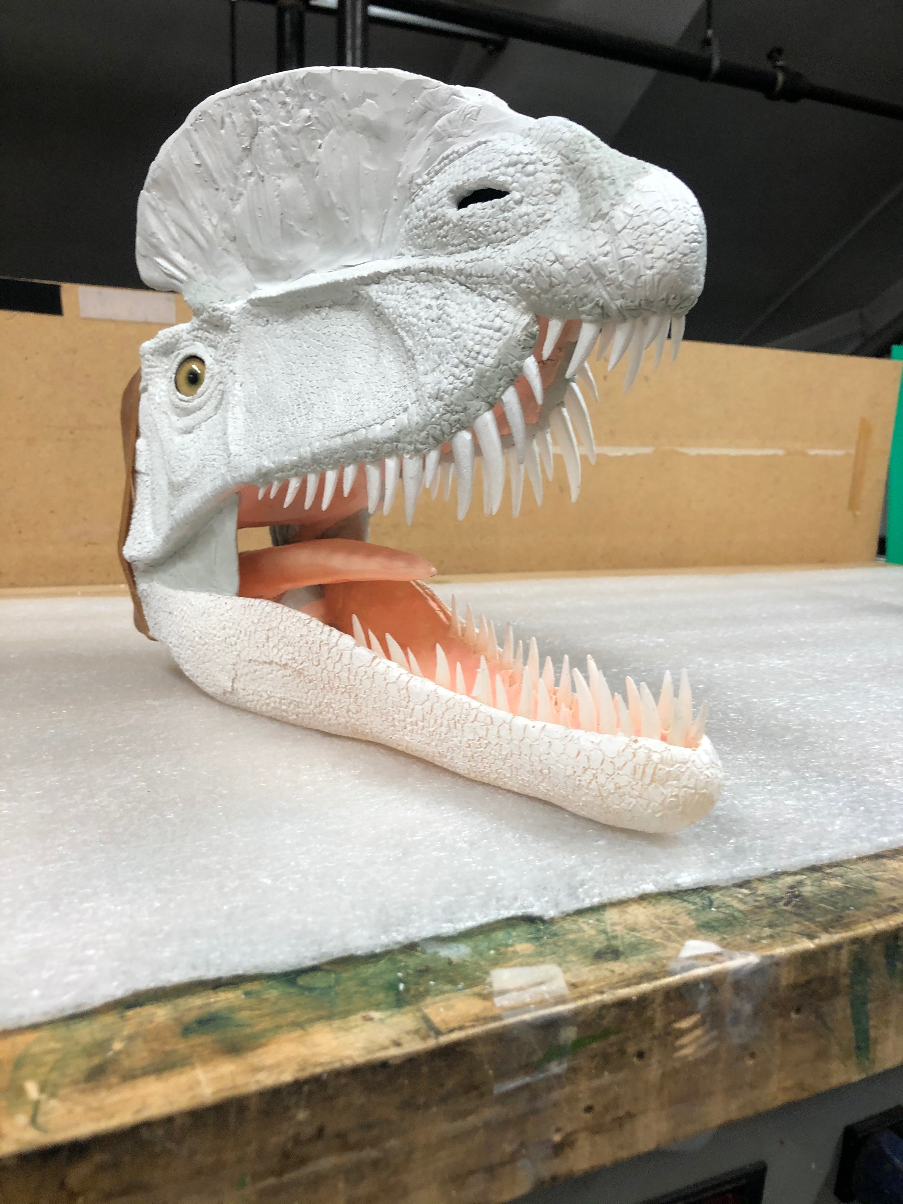 New Bruce Museum Dilophosaurus Model | softdinosaurs